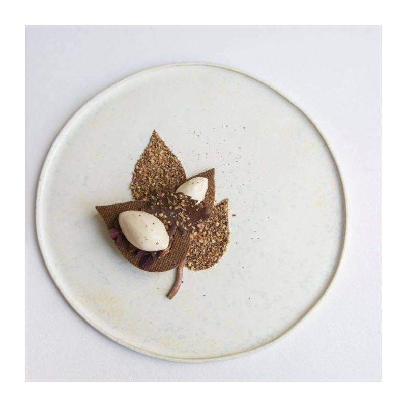 Fèves de Cacao Valrhona 1kg Jivara Lactée 40%