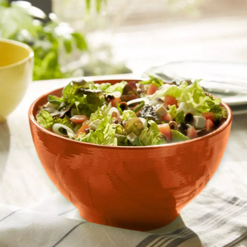 Saladier - Idéal pour Vos Salades Fraîches