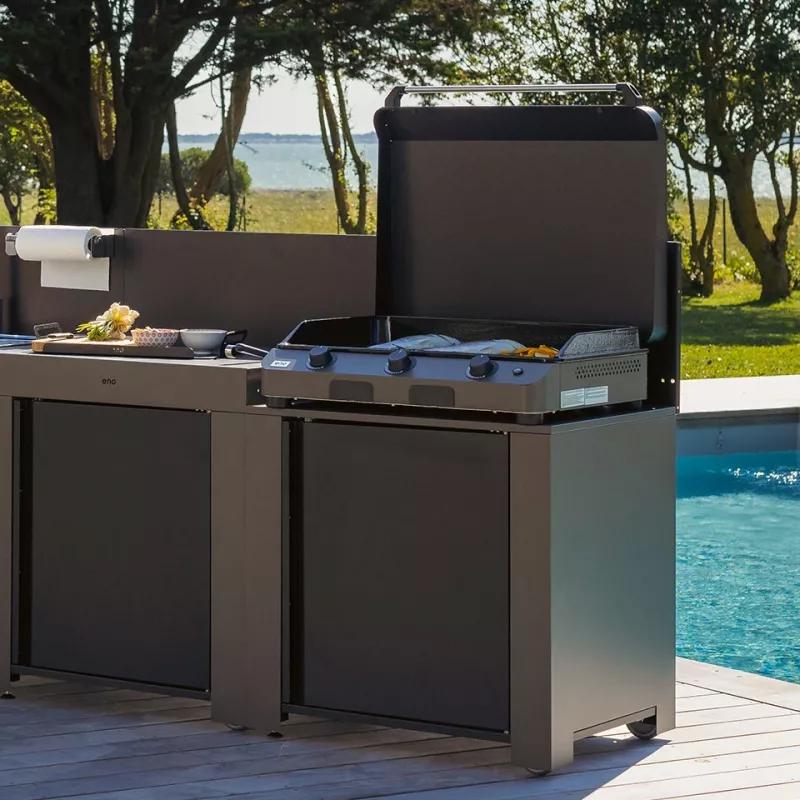 Meuble Plancha Exterieur Inox